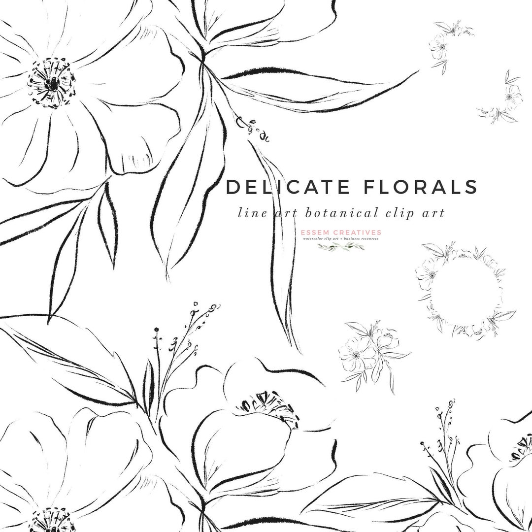 Delicate Line Art Floral Clipart Illustration, Botanical Flowers Leaves ...