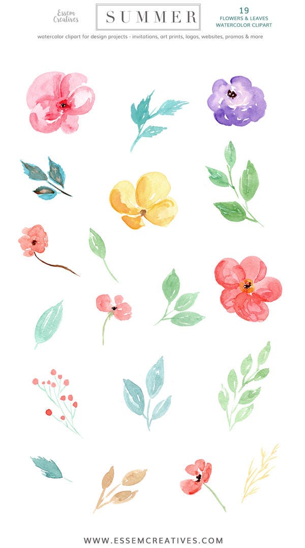 Tropical Watercolor Clipart Watercolour Flower Clip Art - Etsy