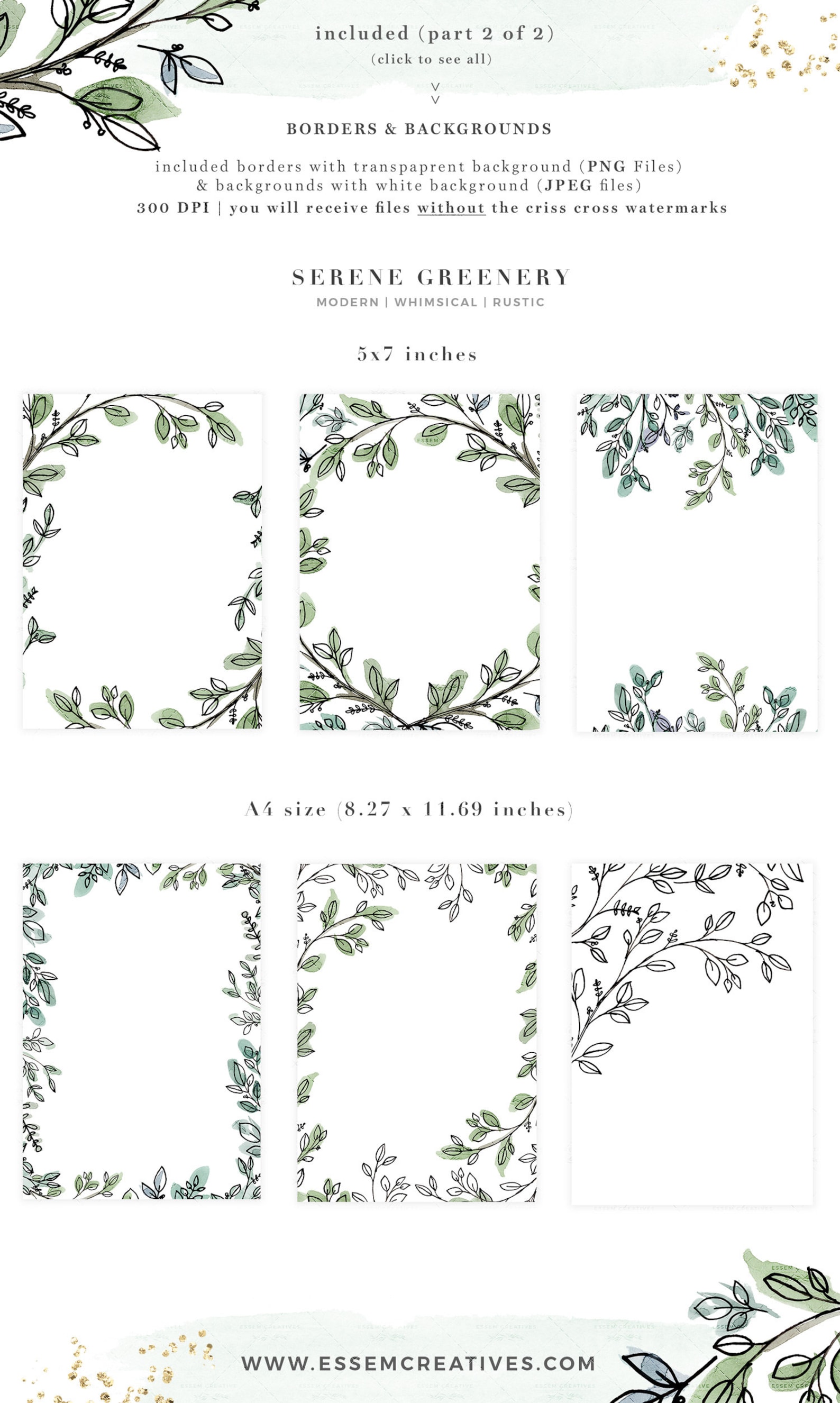 Watercolor Greenery Line Art Olive Branch Clip Art Leaf - Etsy