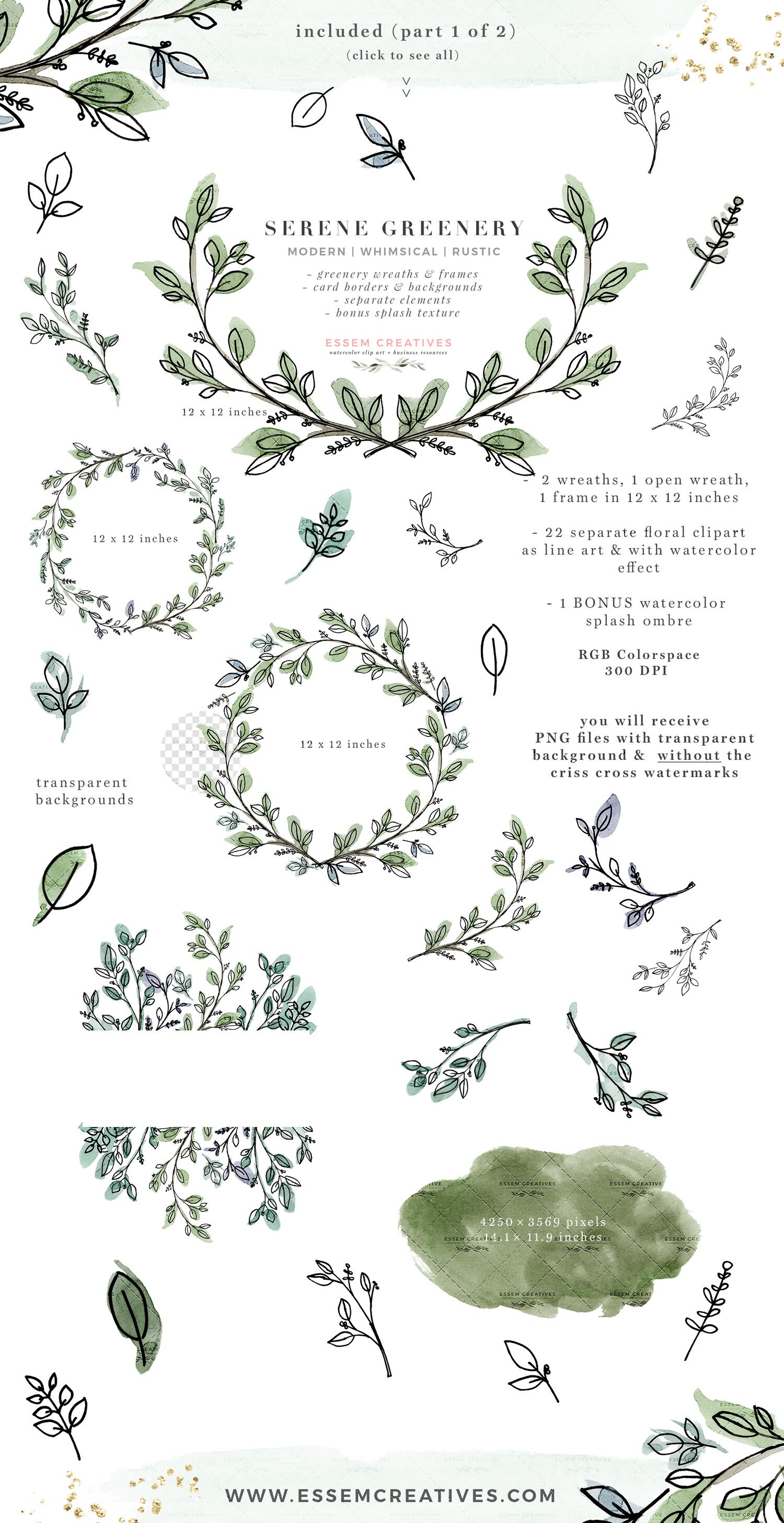 Watercolor Greenery Line Art Olive Branch Clip Art Leaf - Etsy