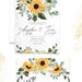 Watercolor Sunflowers Babys Breath Clipart, Rustic Fall Flowers Clip ...