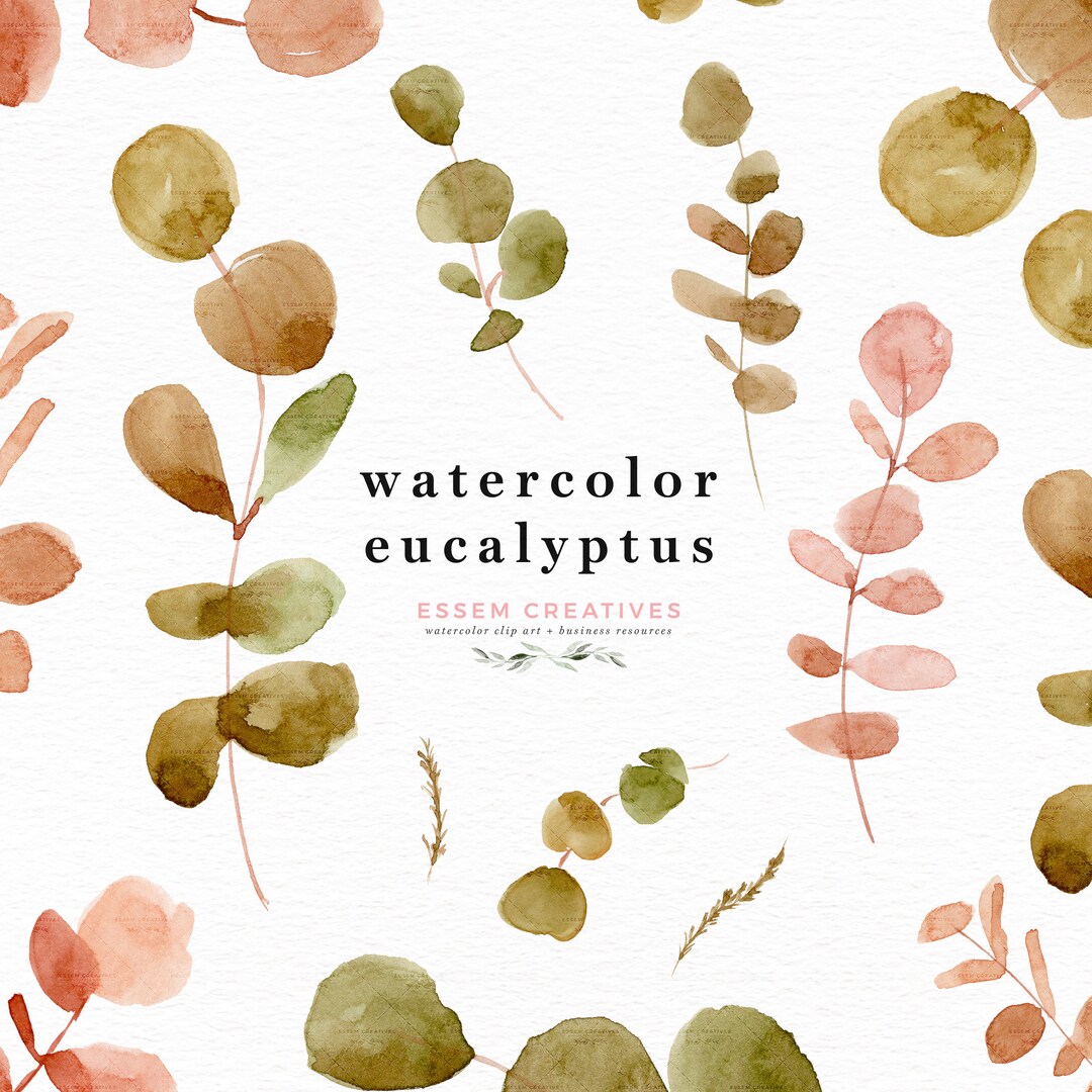 Watercolor Eucalyptus Branch Clipart, Eucalyptus Clip Art Modern Green ...