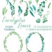 Eucalyptus Watercolor Clipart, Leaf Wreath, Green Leaves Branch, Teal ...