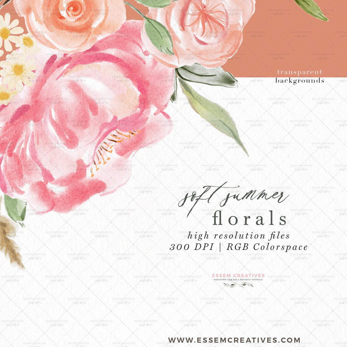 Summer Floral Clipart Boho Watercolor Flower Clip Art Peach | Etsy