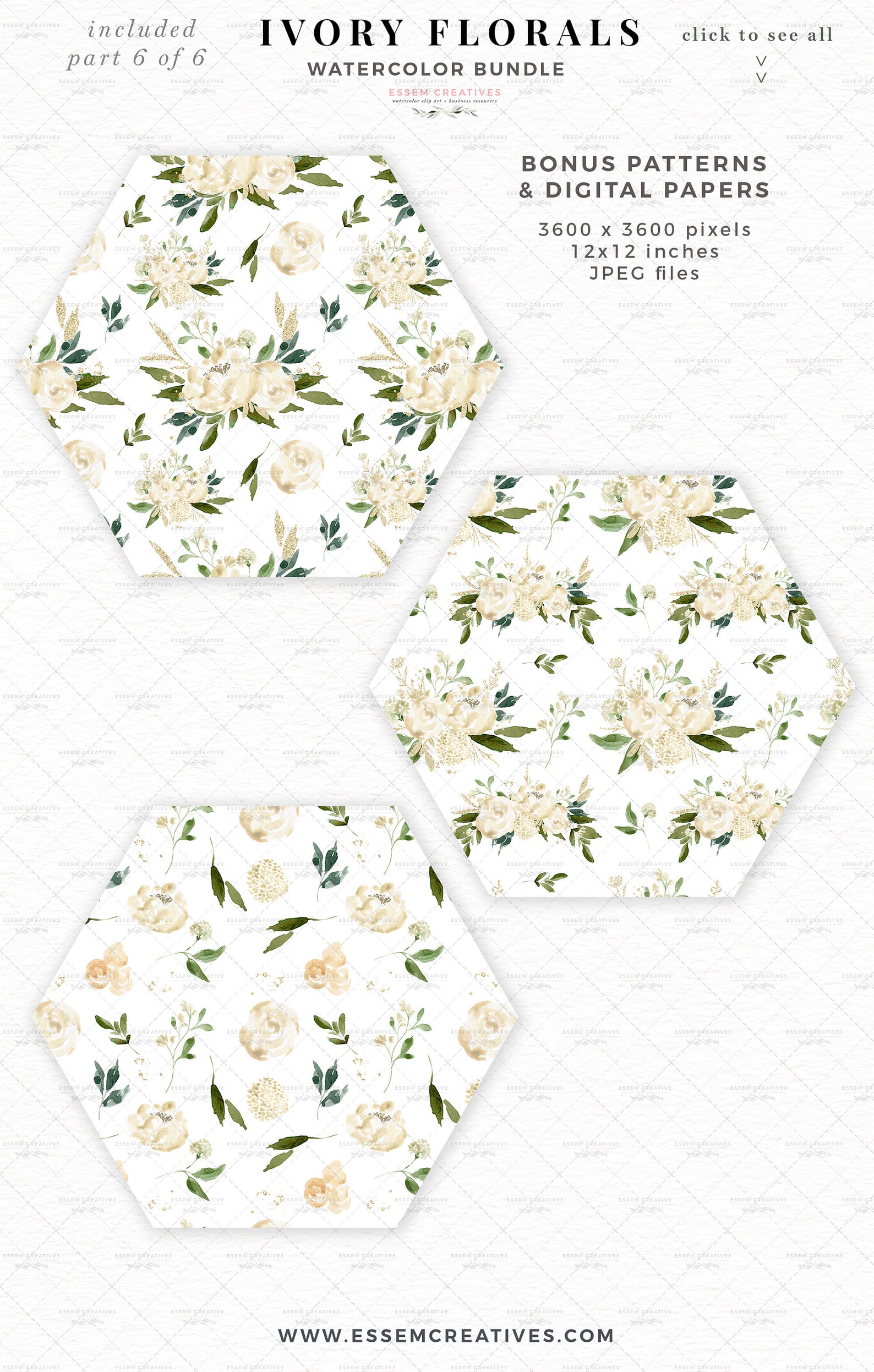 Ivory Watercolor Flowers Clipart, White Floral Watercolor Graphics ...
