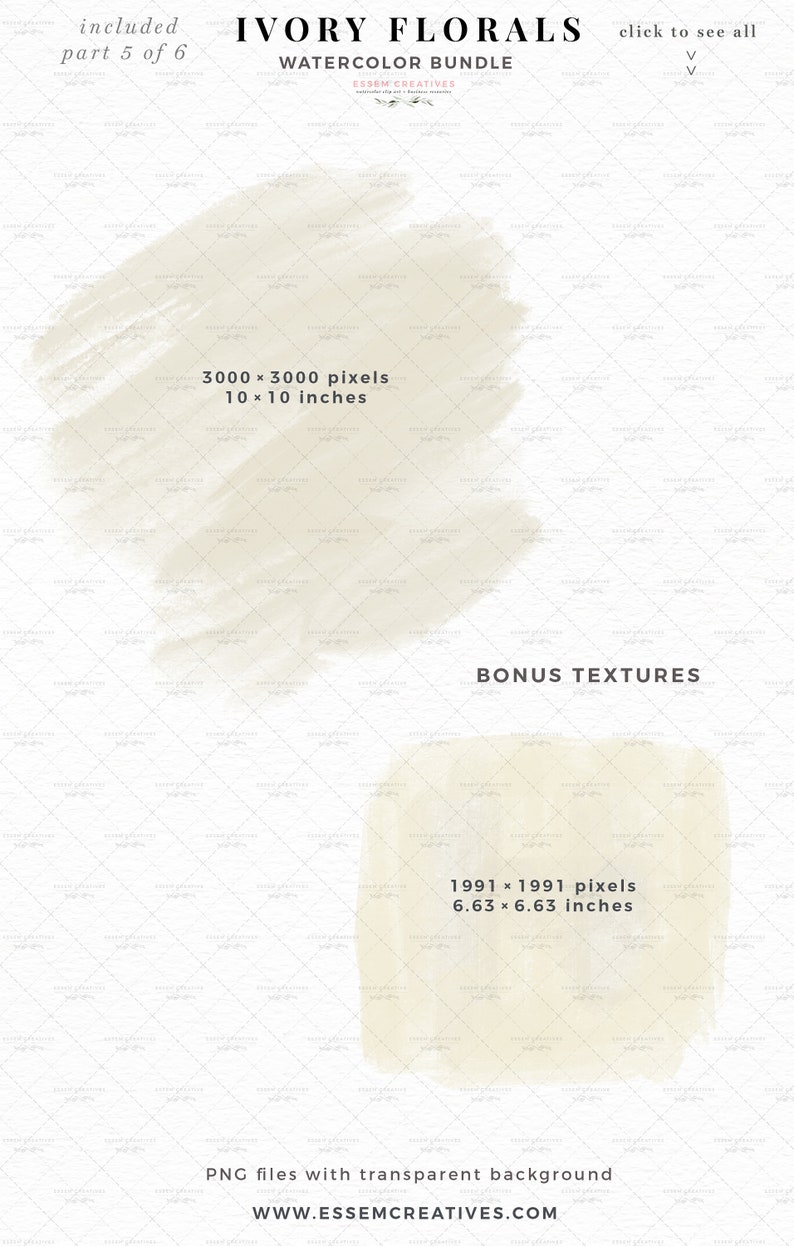Ivory Watercolor Flowers Clipart, White Floral Watercolor Graphics ...