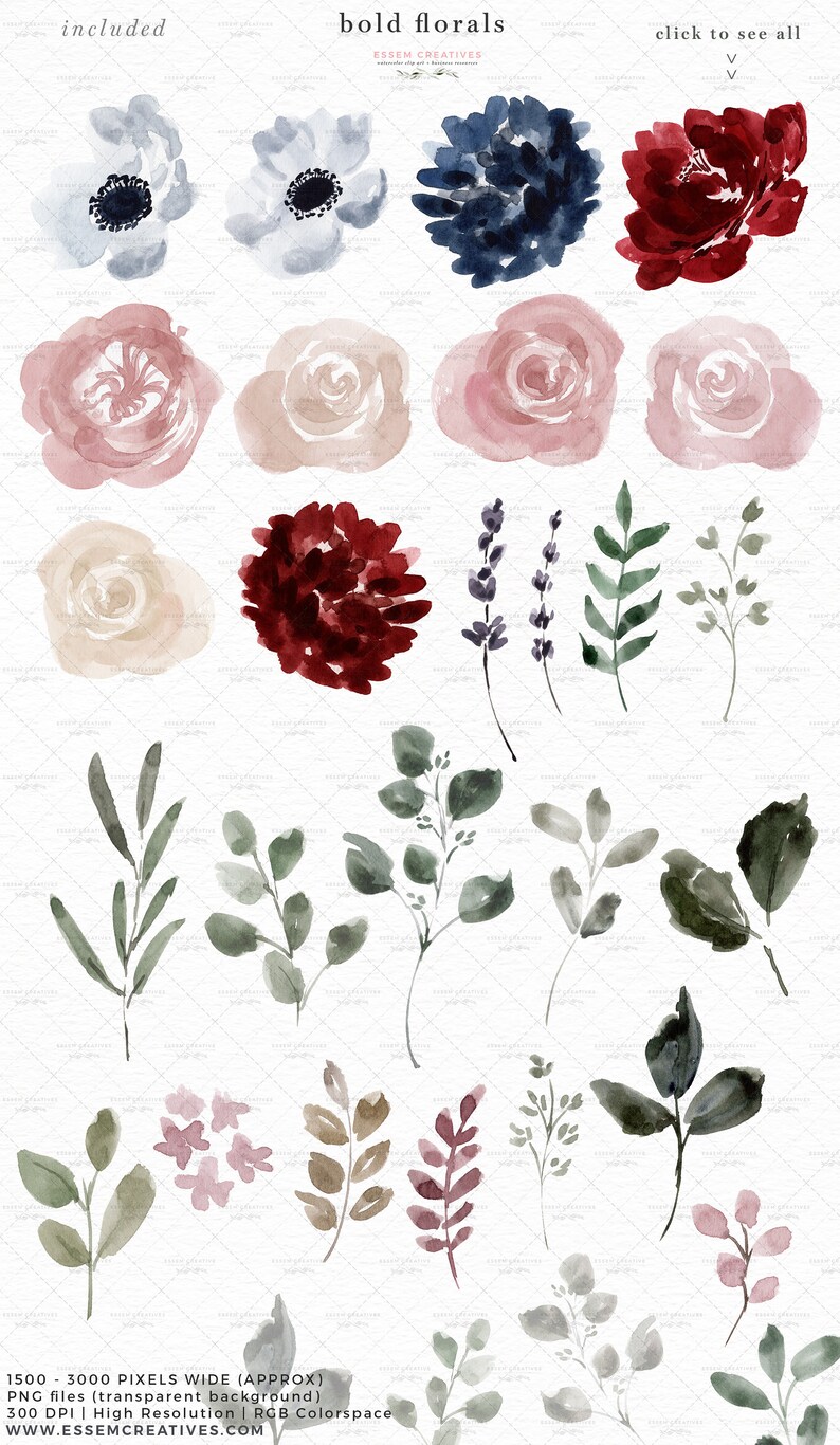 Watercolor Flowers Clipart in Navy Blue Deep Red and White. - Etsy