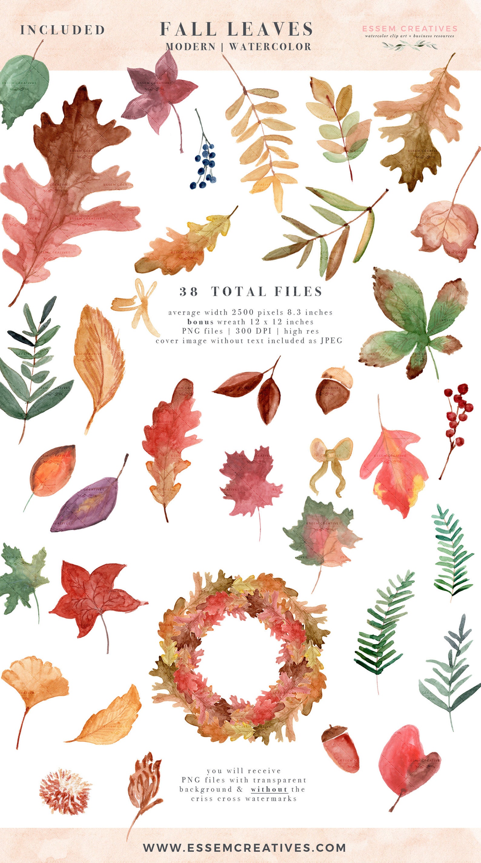 Watercolor Fall Leaves Clipart, Autumn Leaves Clip Art, Thanksgiving ...