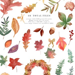 Watercolor Fall Leaves Clipart, Autumn Leaves Clip Art, Thanksgiving ...
