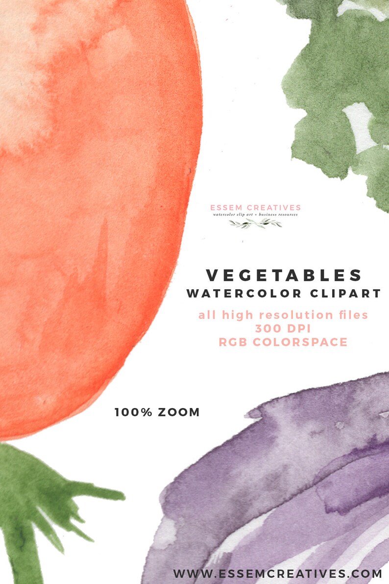 Watercolor Vegetables Food Sublimation Clipart 5x7 Menu - Etsy