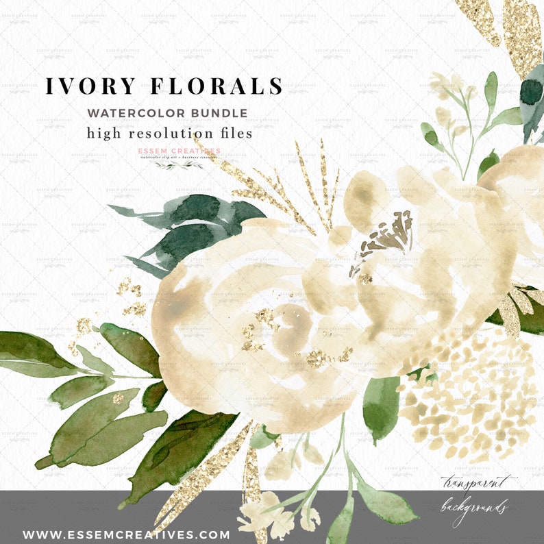 Ivory Watercolor Flowers Clipart, White Floral Watercolor Graphics ...