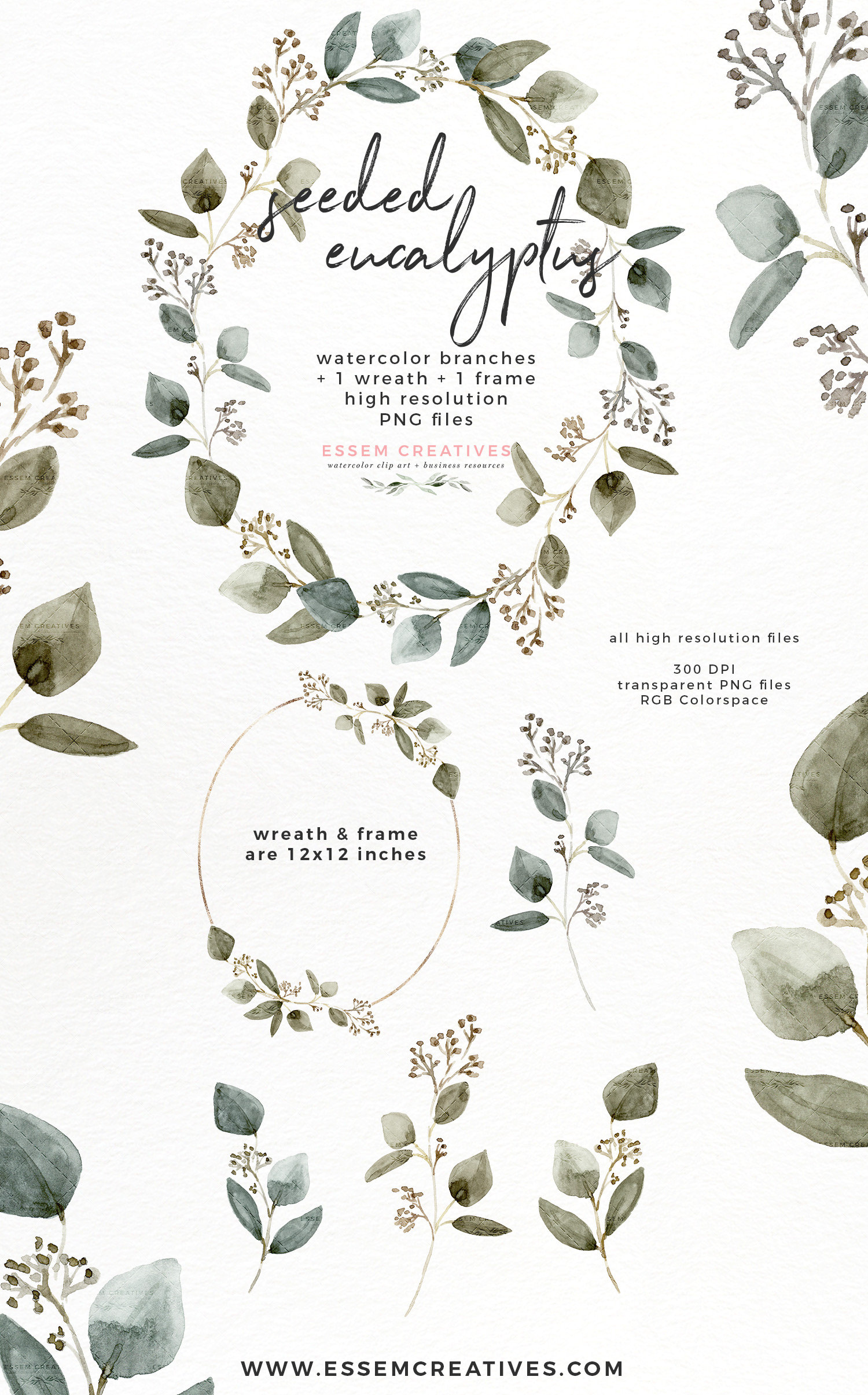 Watercolor Eucalyptus Clipart PNG Greenery Wreath Frame - Etsy
