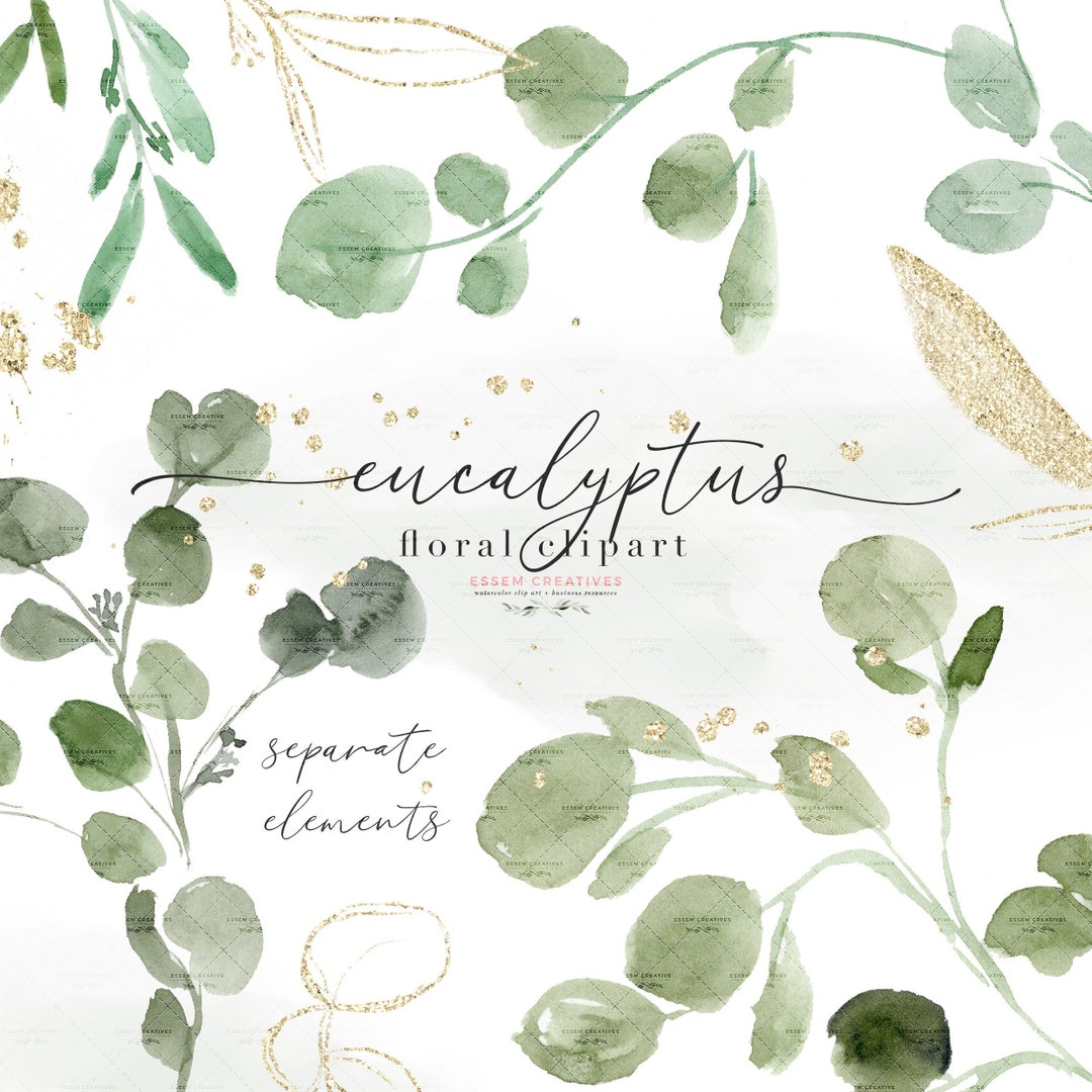 Watercolor Eucalyptus Clipart, Greenery Foliage Separate Leaves ...