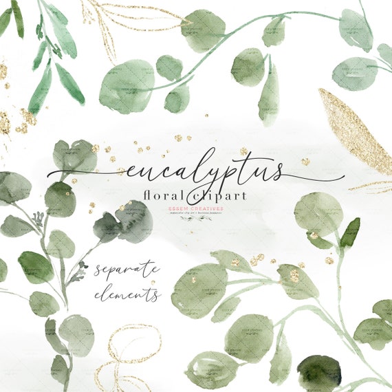 Watercolor Eucalyptus Clipart Greenery Foliage Separate - Etsy