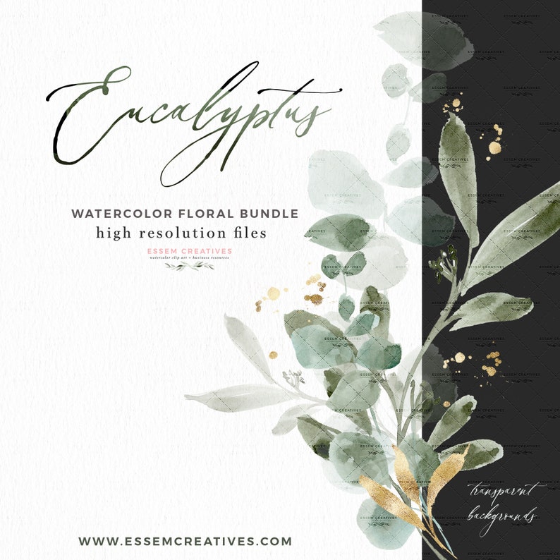 Watercolor Eucalyptus Clipart Foliage Greenery Clipart - Etsy