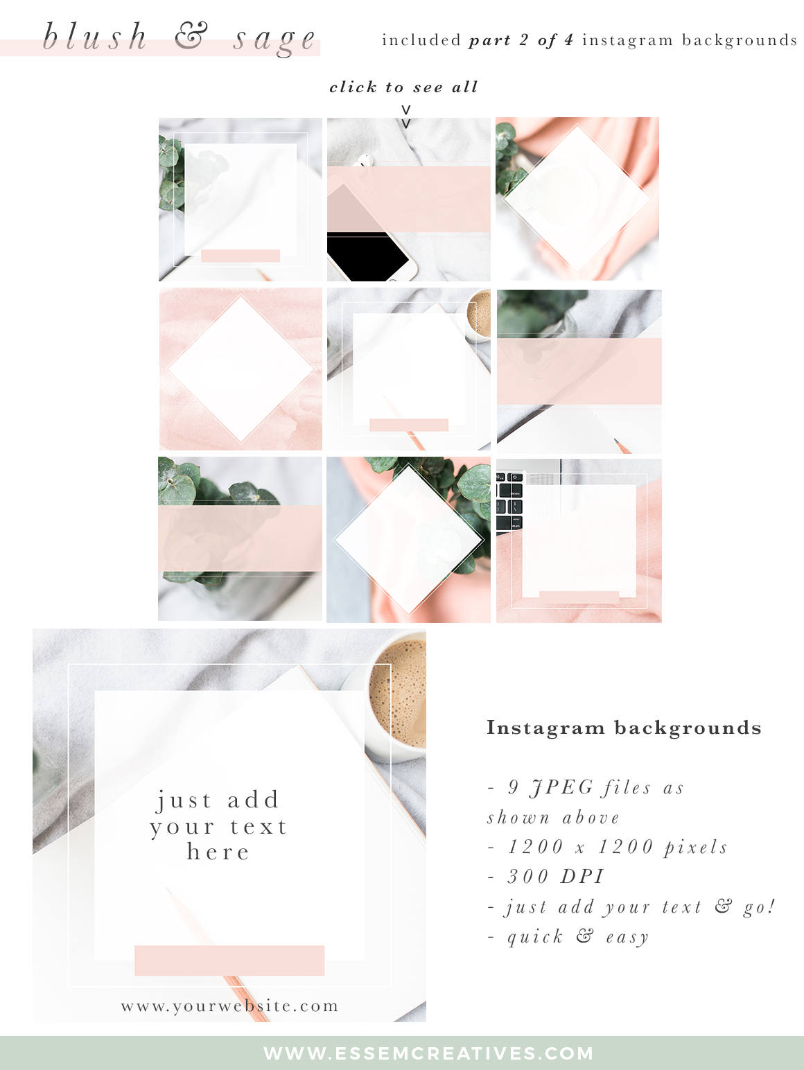 Feminine Blush and Sage Stock Photos Social Media Templates - Etsy