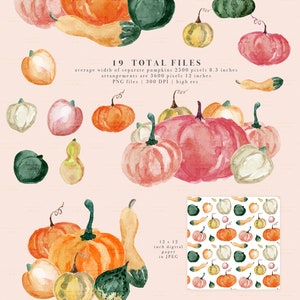 Watercolor Pumpkins Clipart, Halloween Thanksgiving Clipart, Autumn ...