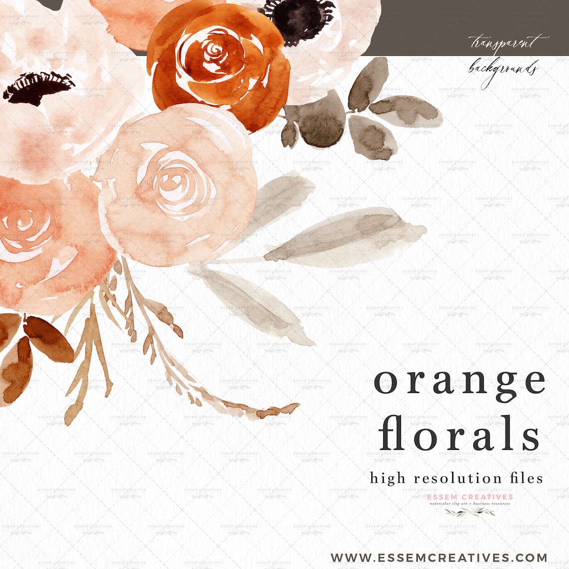 Orange Floral Clipart Boho Watercolor Flowers Clip Art Orange - Etsy India