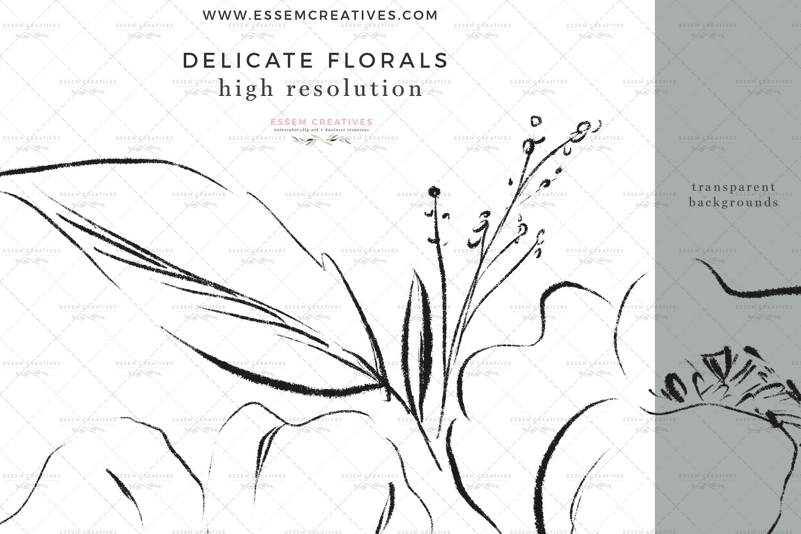 Delicate Line Art Floral Clipart Illustration Botanical - Etsy