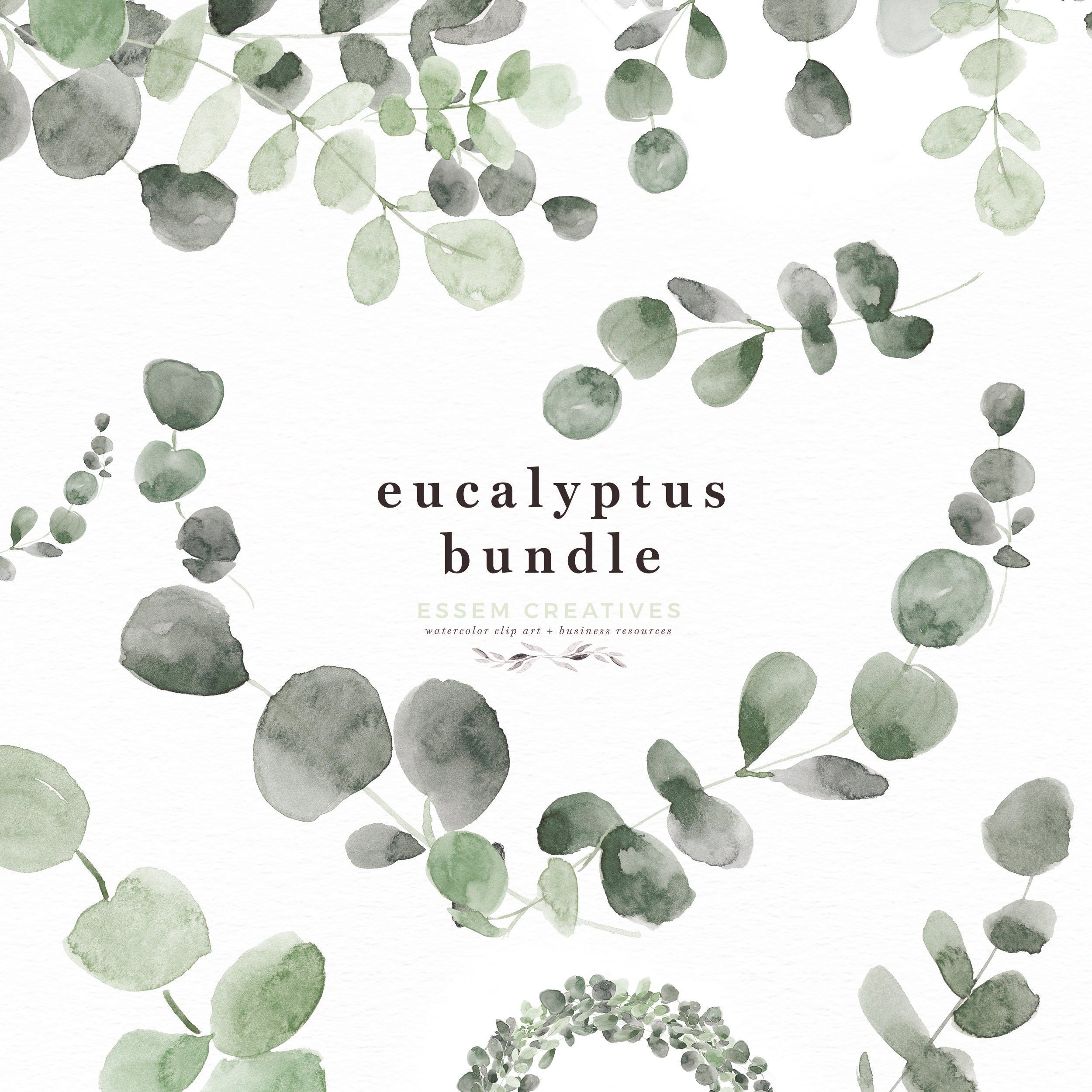 Watercolor Eucalyptus Wreath Clipart, Floral Border Greenery Leaf ...