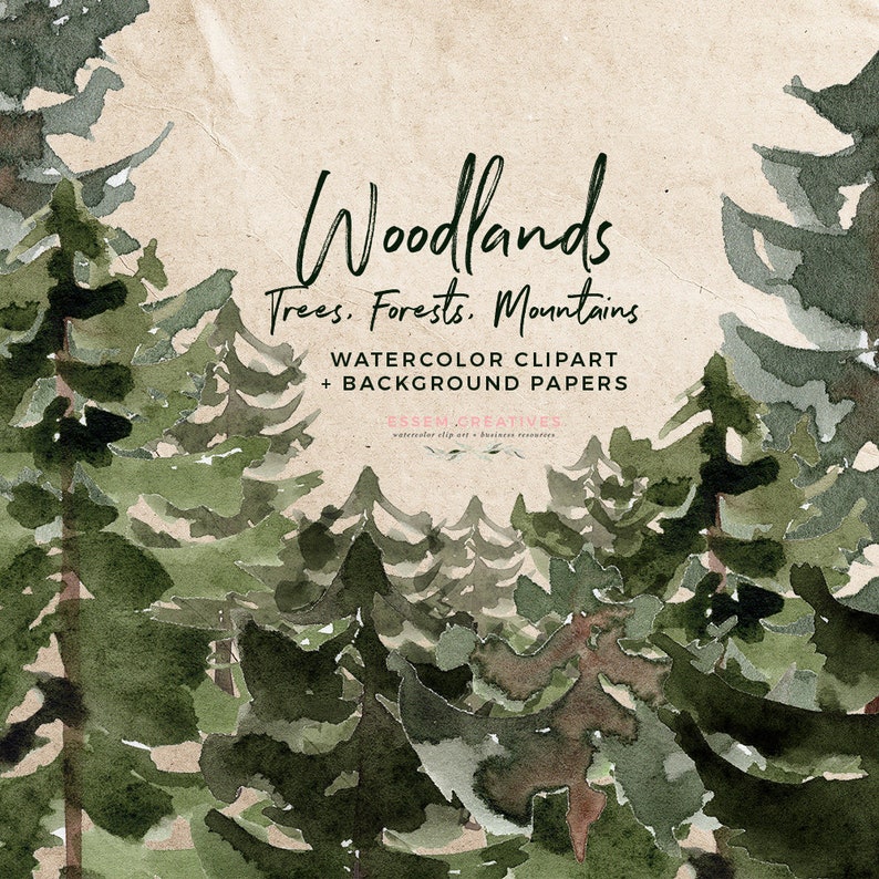 Rustic Forest Trees Clipart Watercolor Conifer Woodland | Etsy