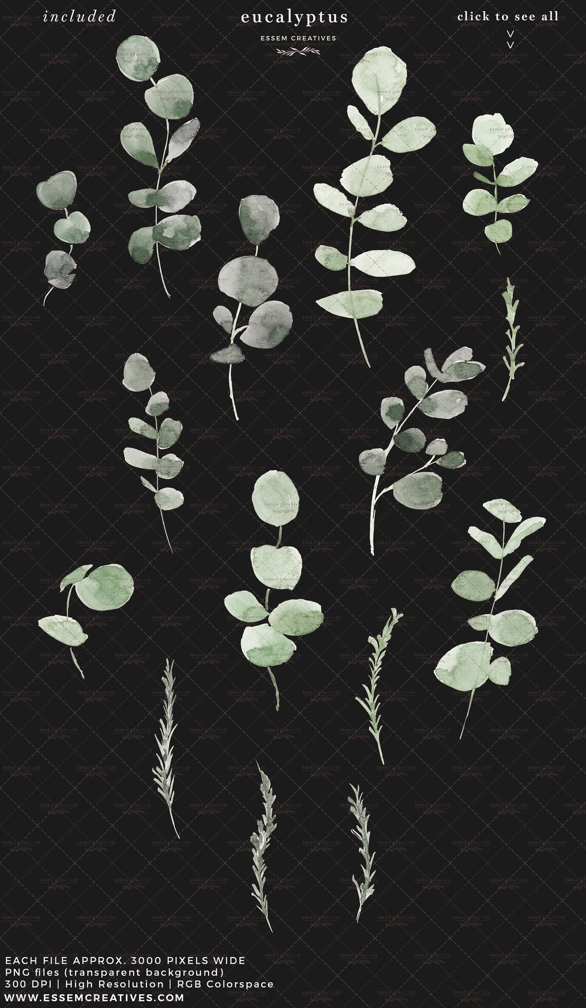 Watercolor Eucalyptus Wreath Clipart Floral Border Greenery - Etsy