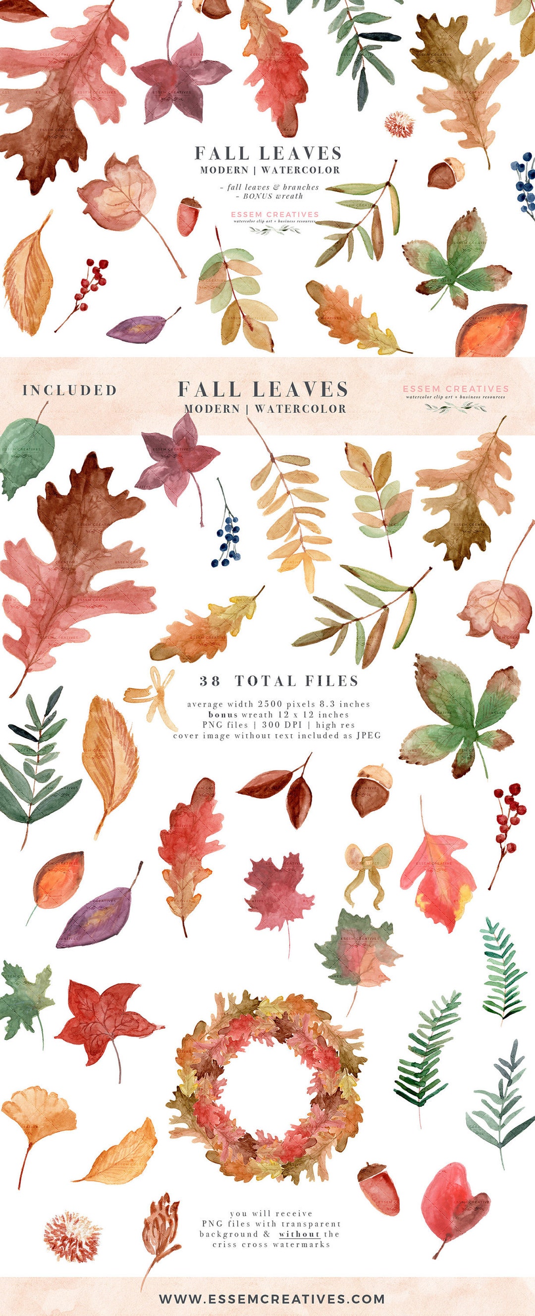 Watercolor Fall Leaves Clipart, Autumn Leaves Clip Art, Thanksgiving ...