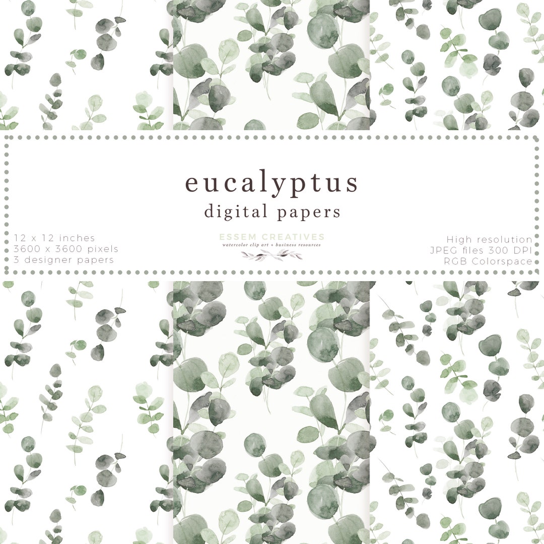 Watercolor Eucalyptus Digital Paper Seamless Repeat Patterns - Etsy