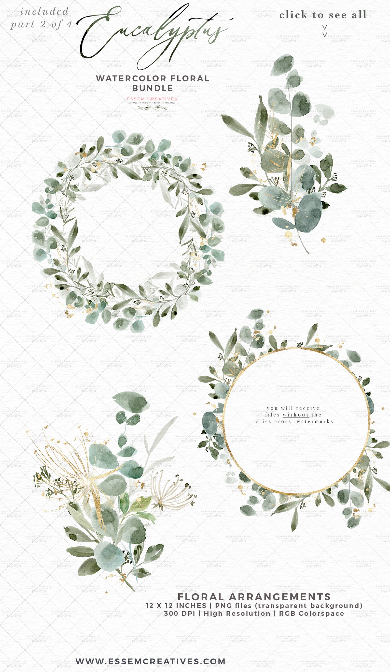 Watercolor Eucalyptus Clipart Foliage Greenery Clipart - Etsy
