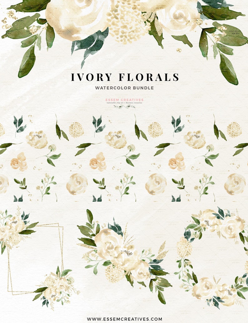 Ivory Watercolor Flowers Clipart, White Floral Watercolor Graphics ...