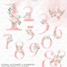 Buy Blush Watercolor Floral Alphabet Clipart, Pink White Watercolor ...