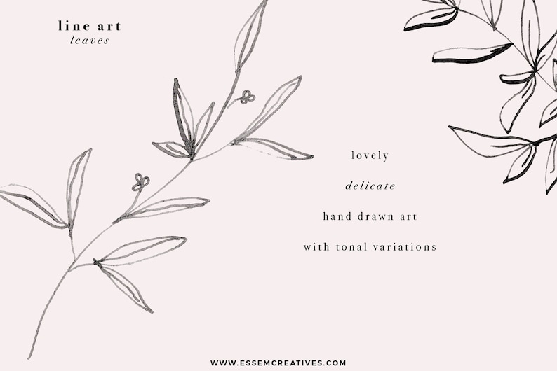 Line Art Leaves Clipart Illustration, Botanical Greenery Foliage ...