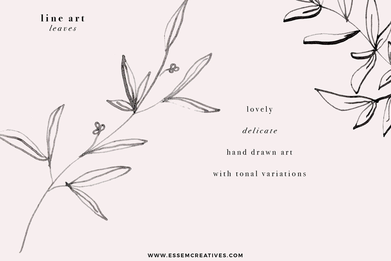 Line Art Leaves Clipart Illustration, Botanical Greenery Foliage ...
