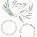 Eucalyptus Leaves Wreath Clipart, Watercolor Olive Laurel Wreath Branch ...
