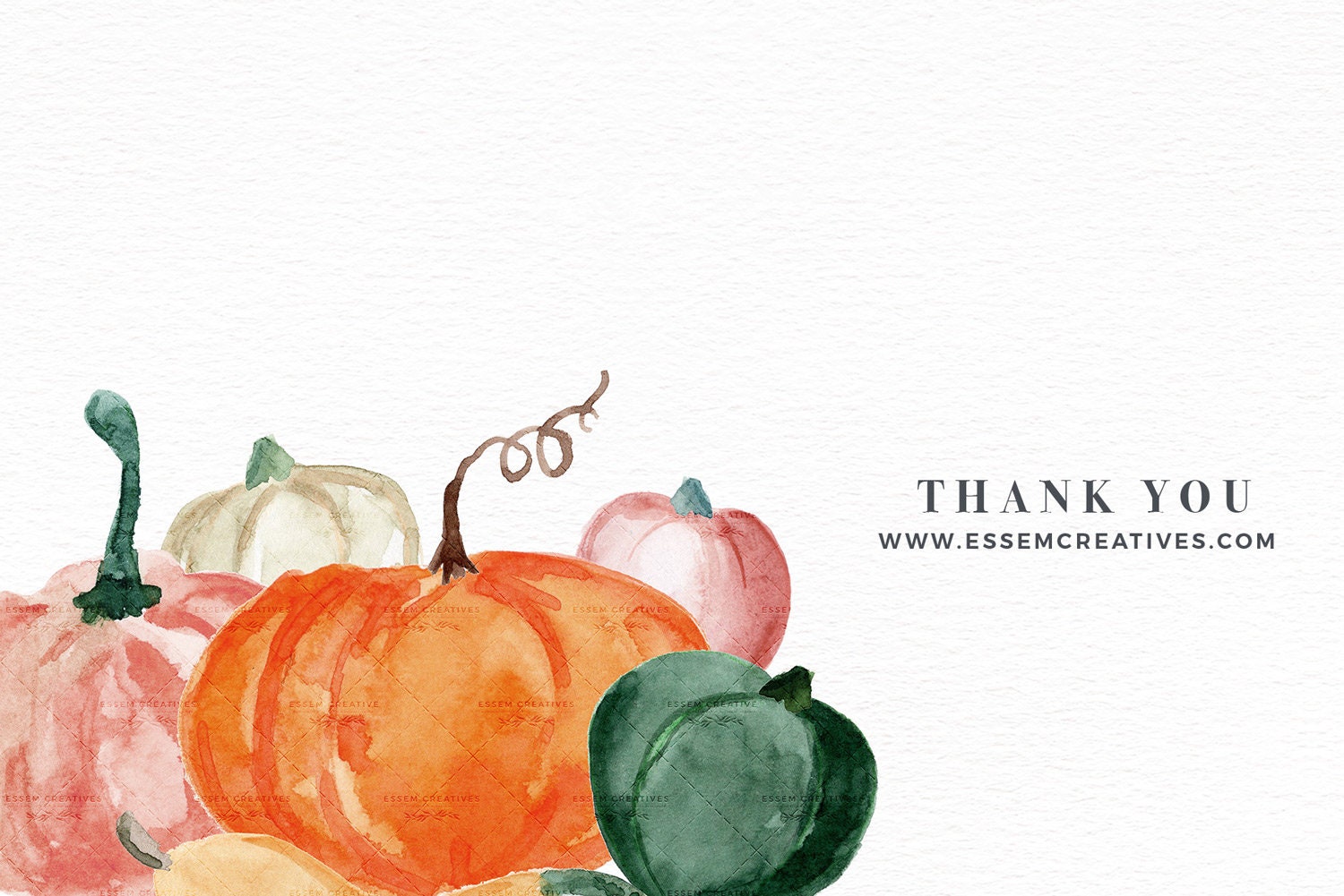 Watercolor Pumpkins Clipart Halloween Thanksgiving Clipart - Etsy