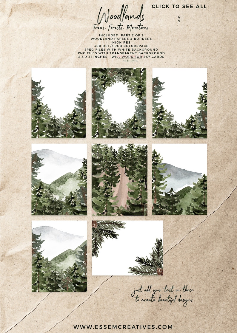 Rustic Forest Trees Clipart Watercolor Conifer Woodland | Etsy