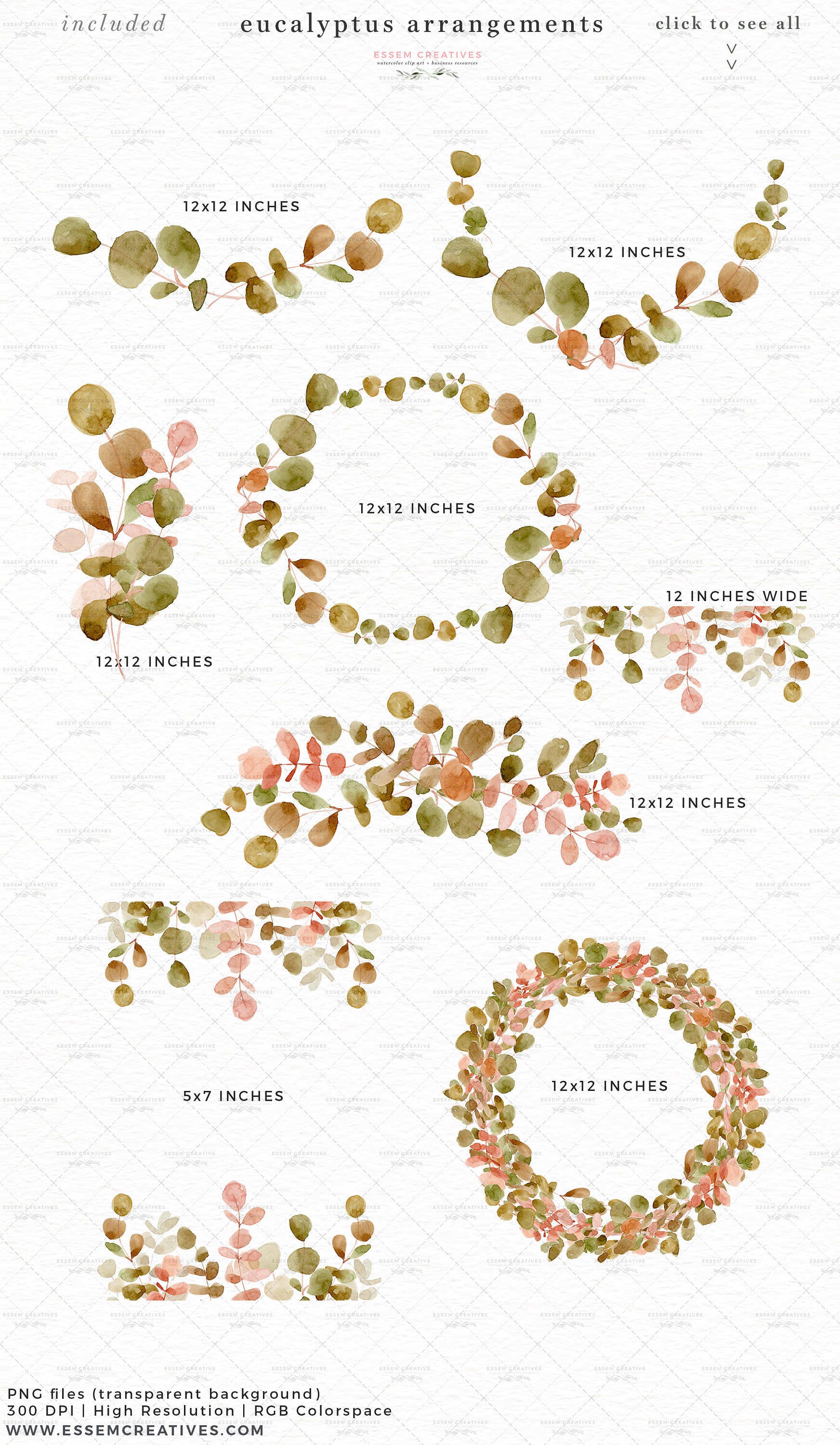 Watercolor Eucalyptus Wreath Clipart Eucalyptus Border Clip | Etsy