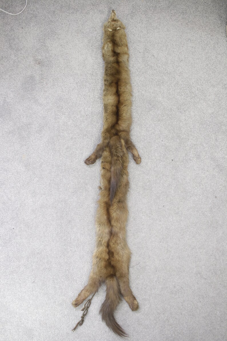 1920s-1930s Sable Fur Stole vintage Sable Fur/real Sable - Etsy UK