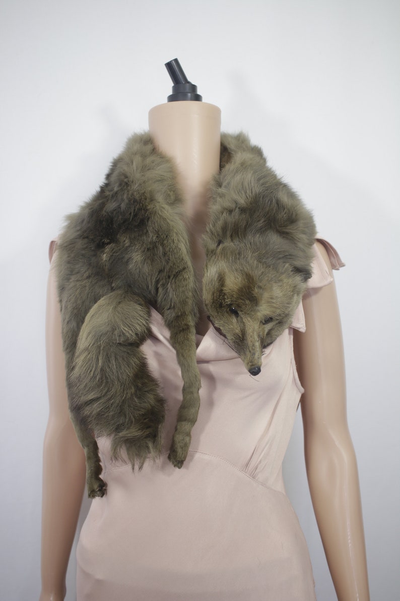 1920s-1930s khaki fox fur stole Vintage fox fur/real fox | Etsy