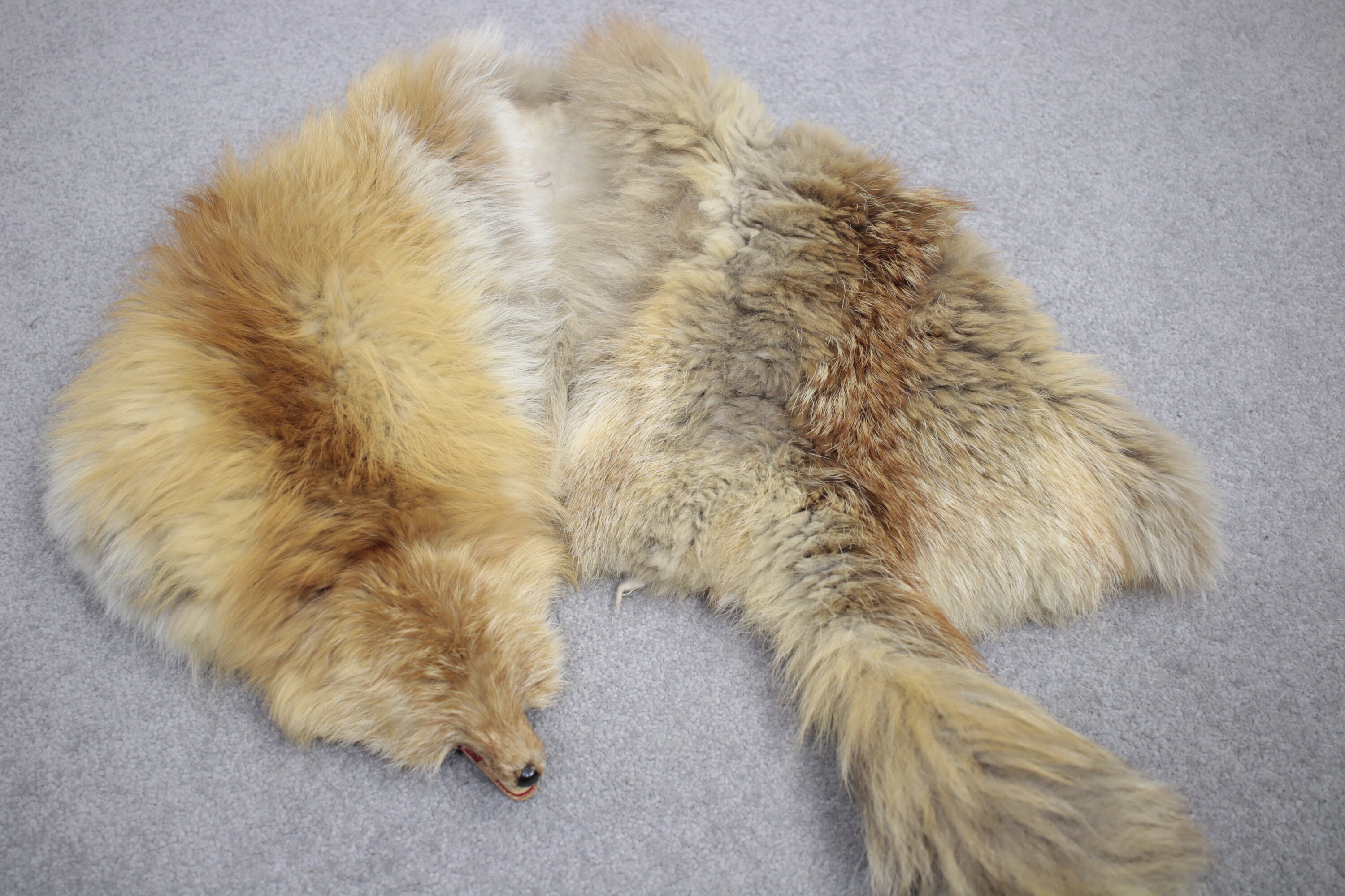1930s-1940s Red Fox Fur Pelt vintage Fox Fur/real Fox Fur/fox - Etsy
