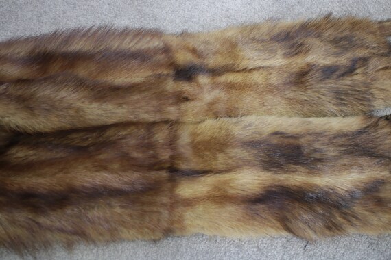 Fitch Fur
