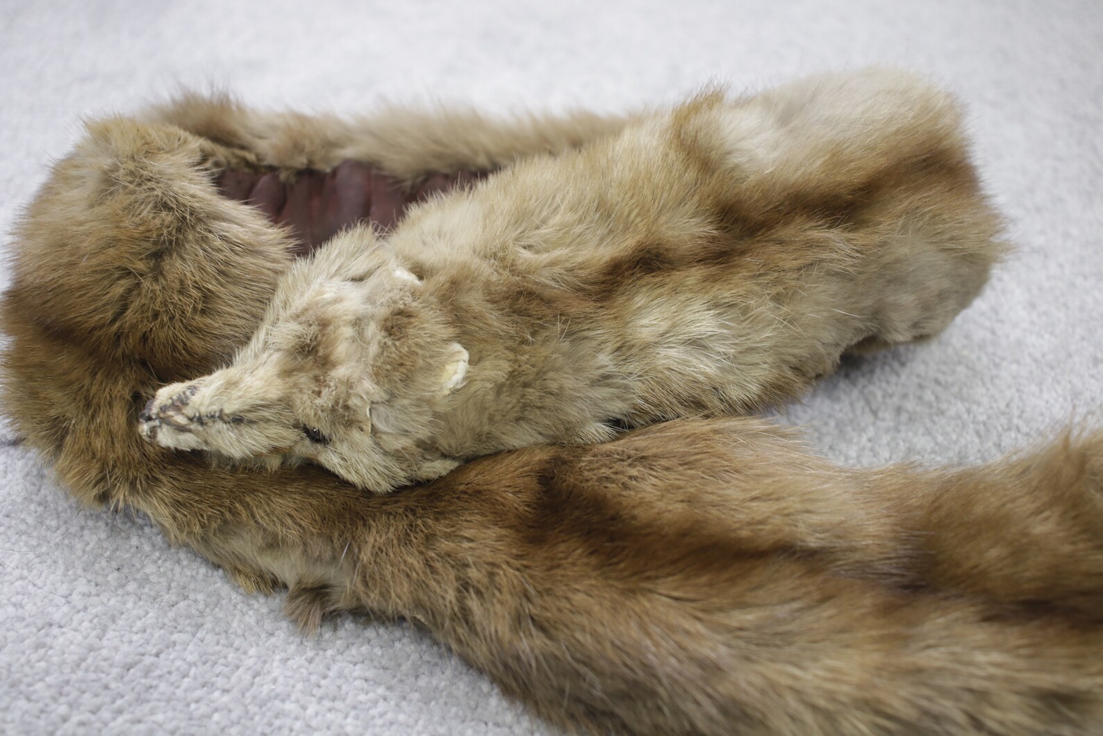 1920s-1930s sable fur stole Vintage sable fur/real sable | Etsy