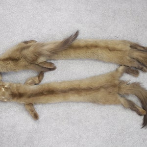 1920s-1930s Sable Fur Stole vintage Sable Fur/real Sable - Etsy UK