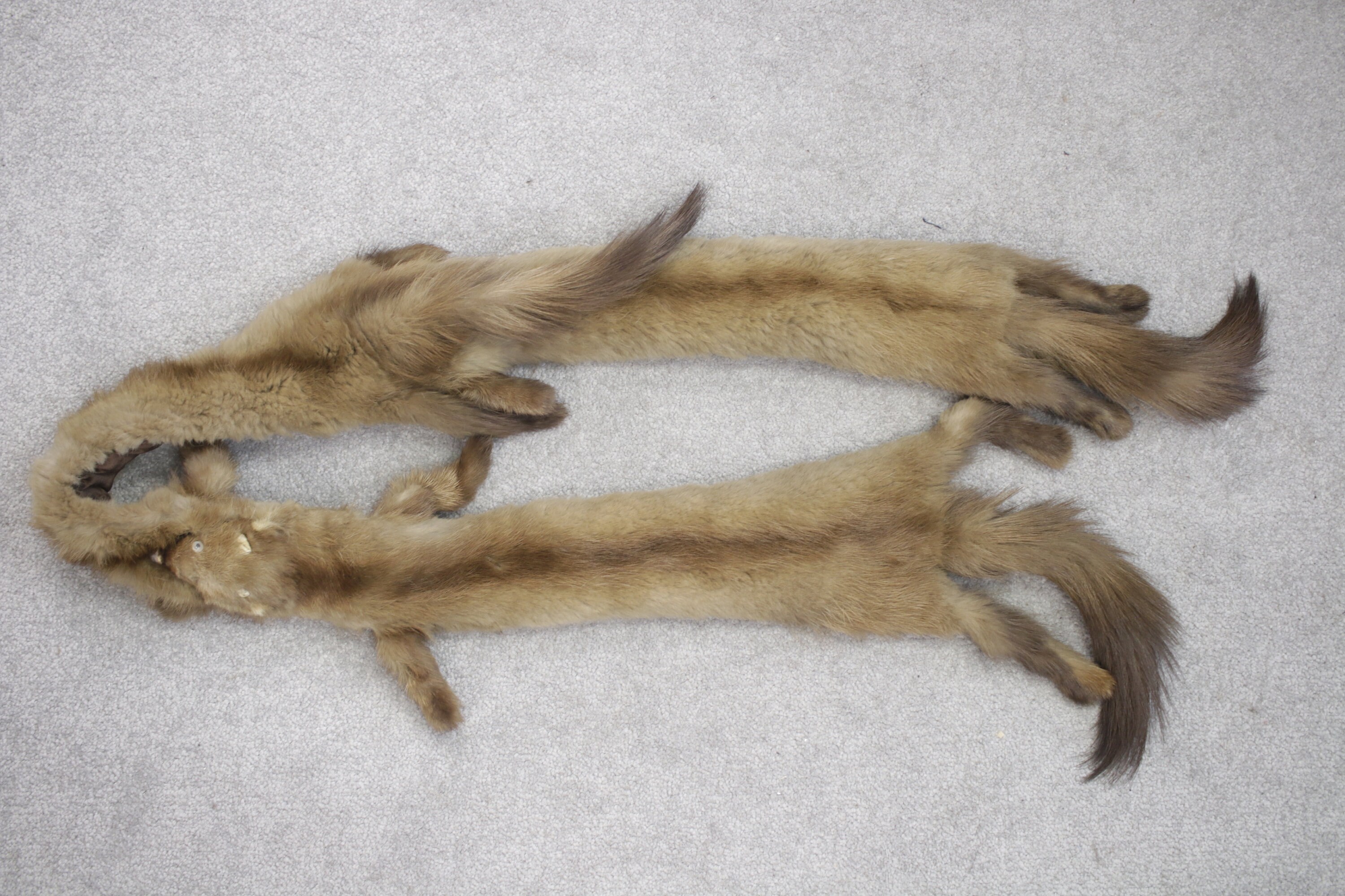 1920s-1930s Sable Fur Stole vintage Sable Fur/real Sable | Etsy UK