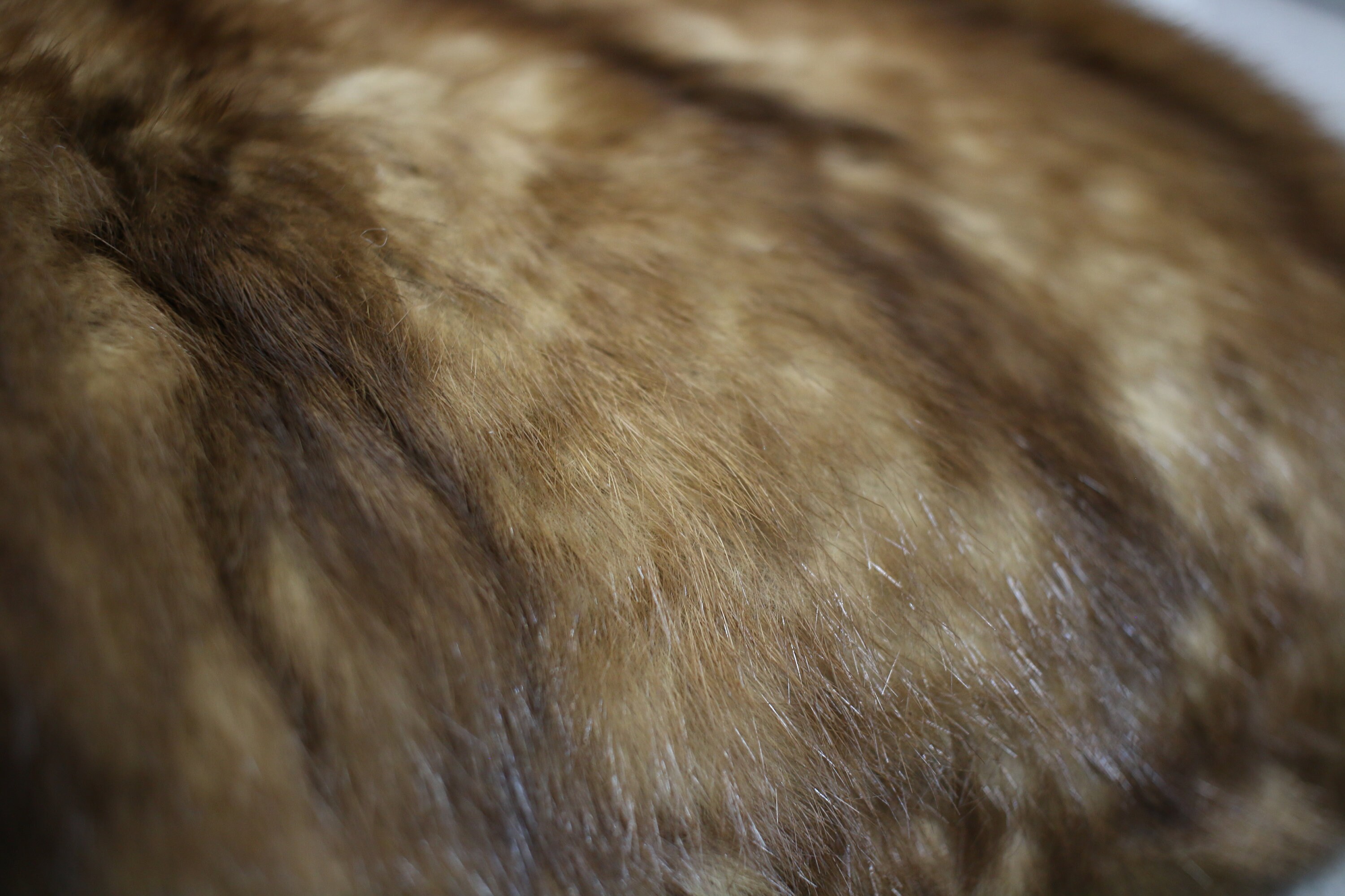 1940s-1950s sable fur muff Real fur muff/fur hand warmer/fur | Etsy