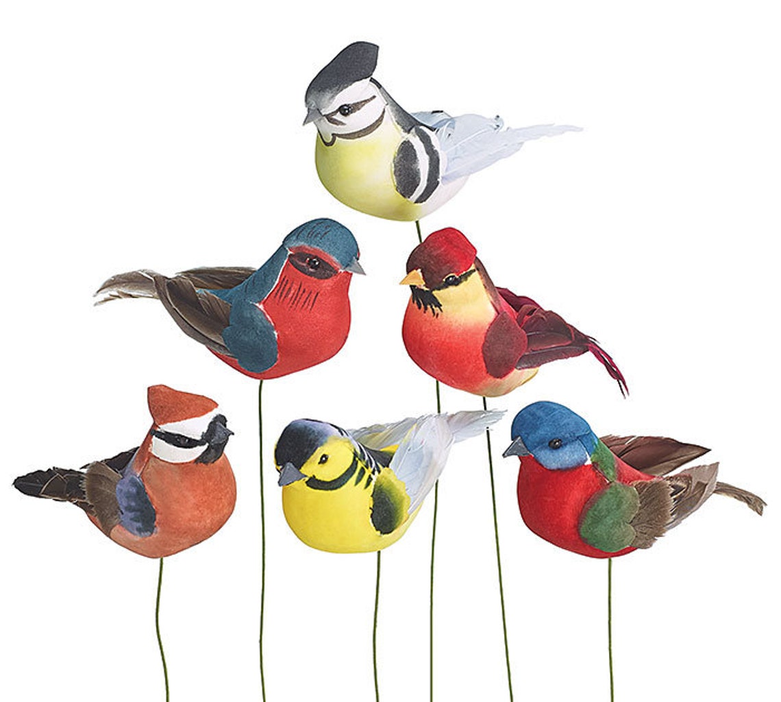 Set Of 6 Assorted Feather Bird Picks Spring Birds Pack For Etsy