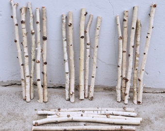White Birch Branches - Etsy