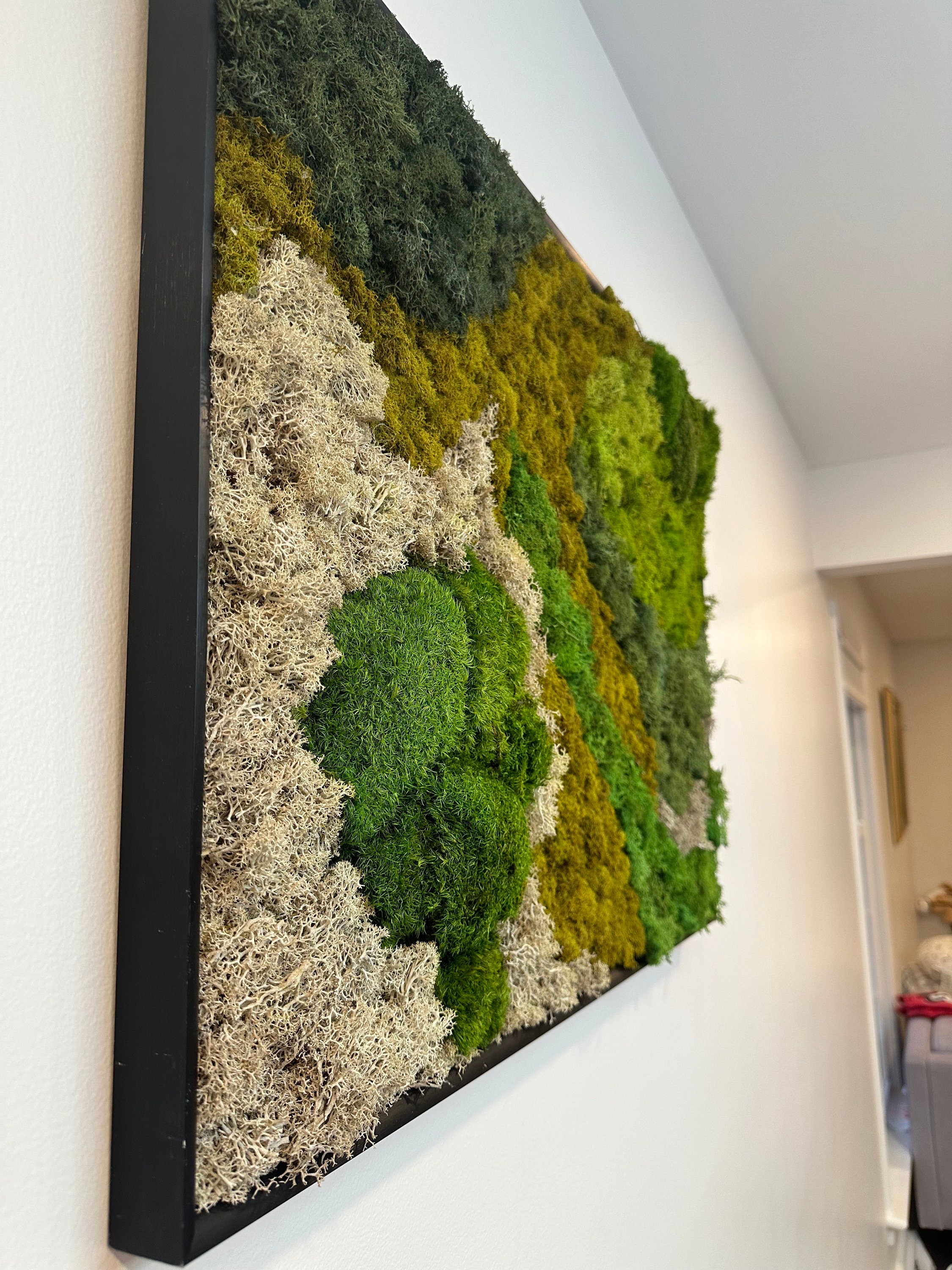 Handcrafted Preserved Moss Wall Art. A Natural Greenery for Your Home ...