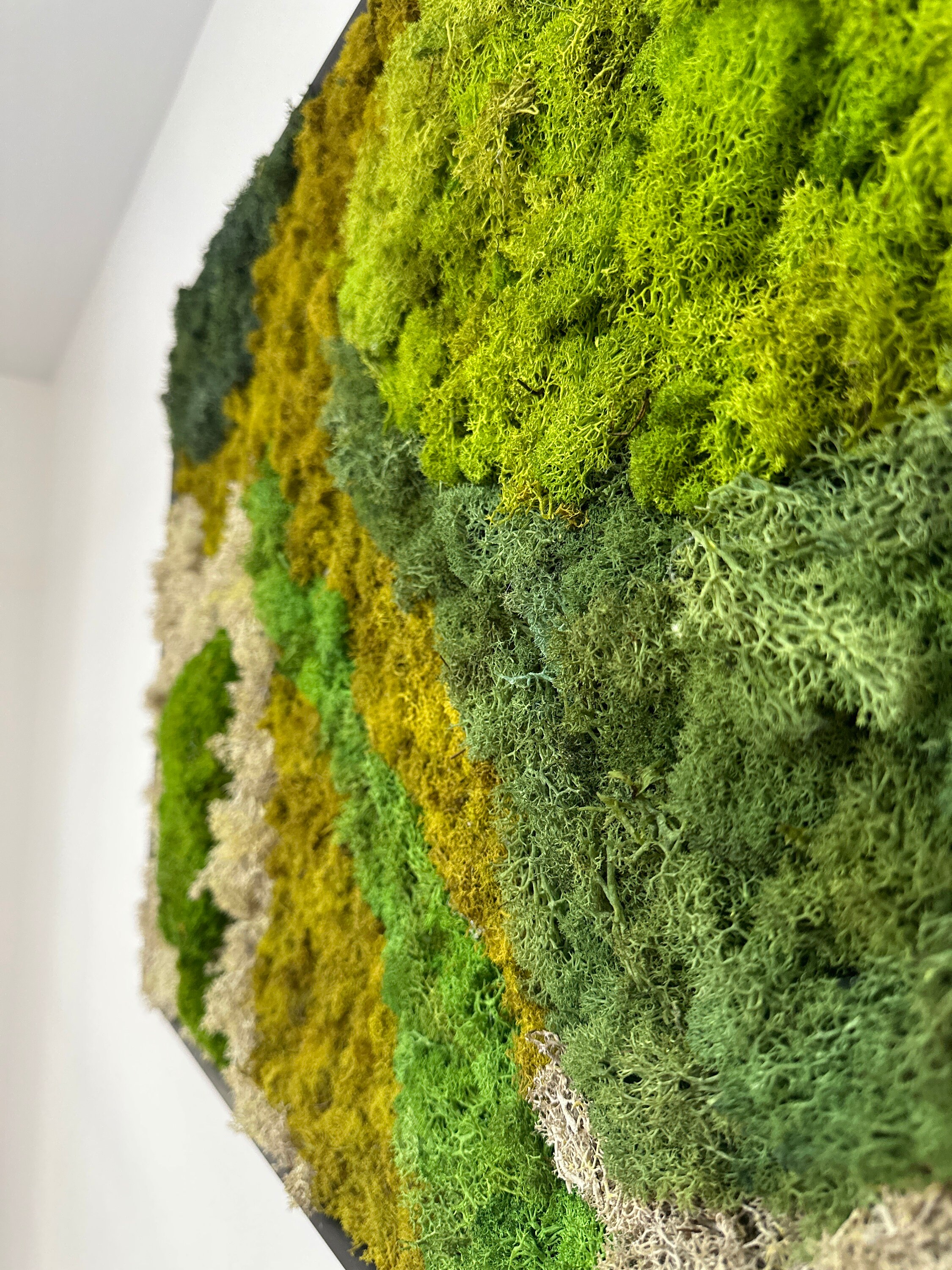 Handcrafted Preserved Moss Wall Art. A Natural Greenery for Your Home ...