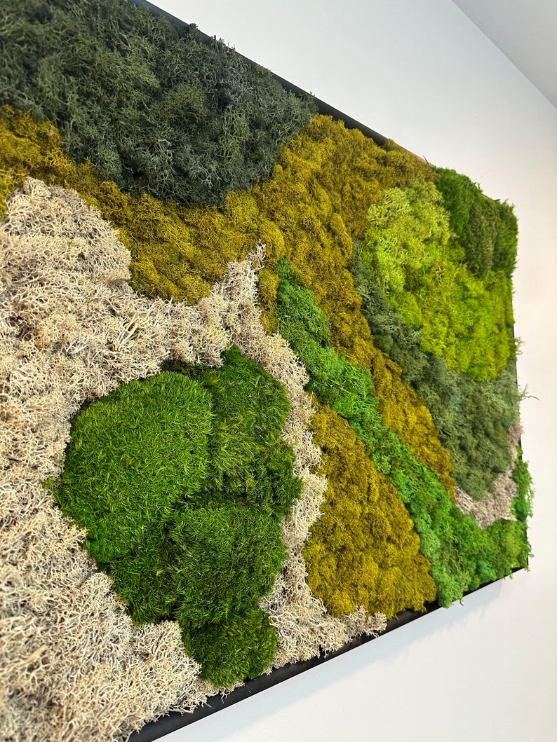 Handcrafted Preserved Moss Wall Art. A Natural Greenery for Your Home ...